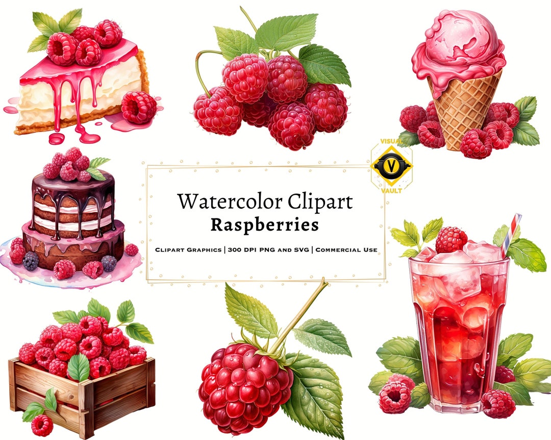 Raspberries Watercolor Clipart, Raspberries Clipart Bundle, Digital ...