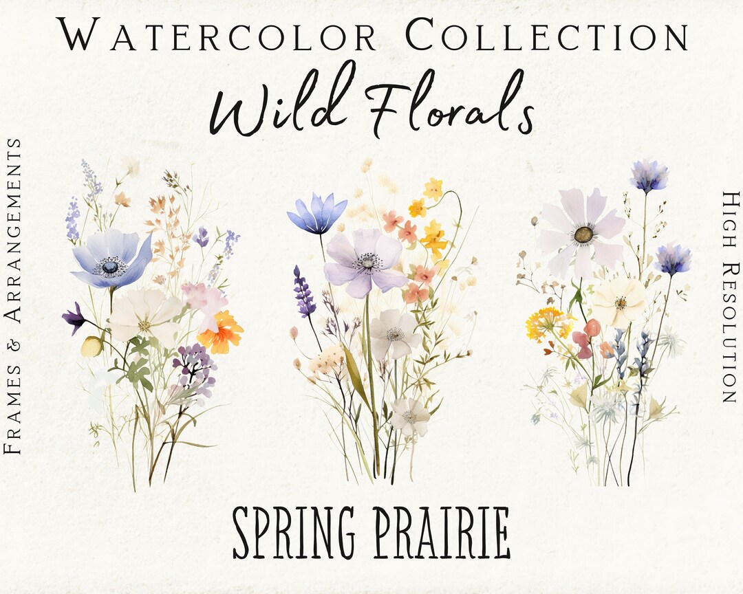 Watercolor Floral Clipart, Wild Flowers Clipart, Dainty Flowers ...