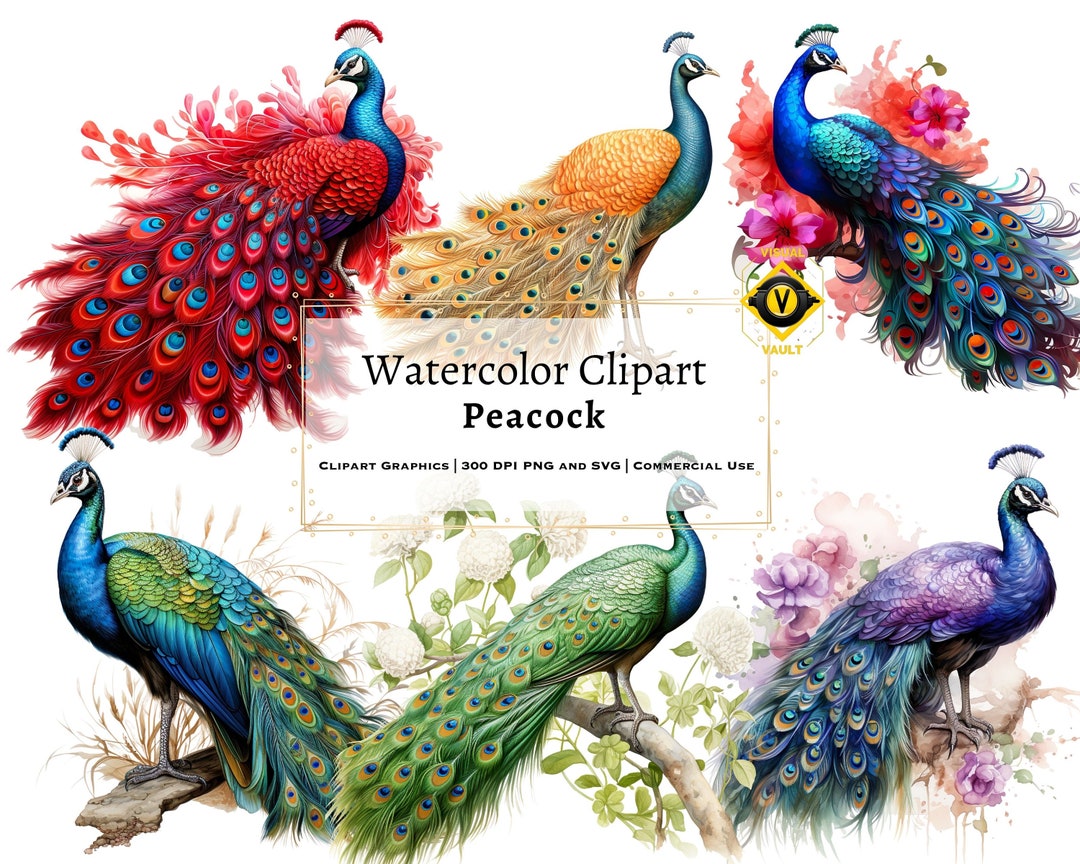 20 Watercolor Peacocks Clipart, High Quality Transparent Pngs, Instant ...
