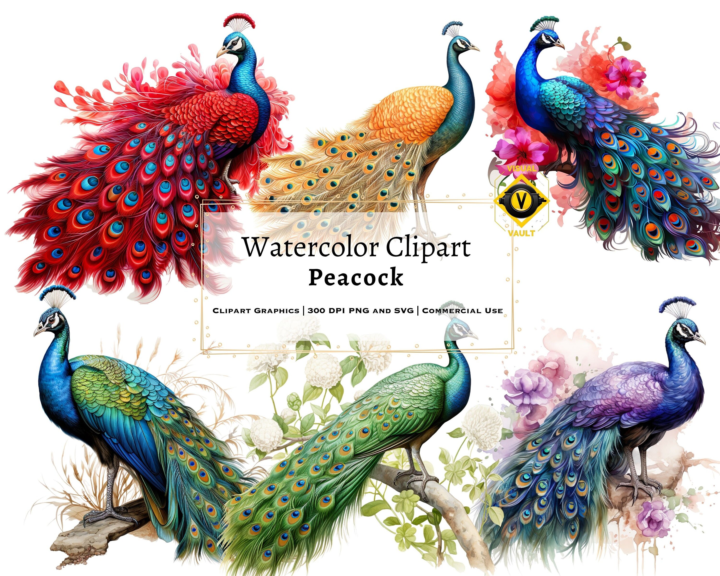 20 Watercolor Peacocks Clipart, High Quality Transparent Pngs, Instant ...