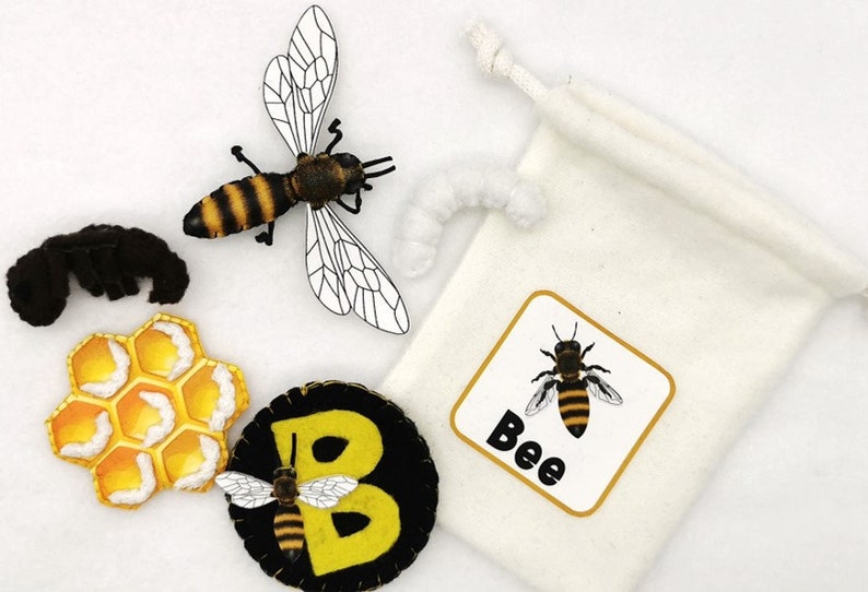 8 Sets 32x Printable Montessori Life Cycle Flash Cards Engaging Hands ...