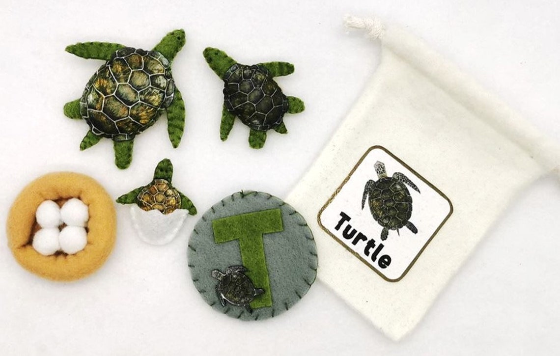 8 Sets 32x Printable Montessori Life Cycle Flash Cards Engaging Hands ...