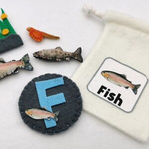 8 Sets 32x Printable Montessori Life Cycle Flash Cards Engaging Hands ...