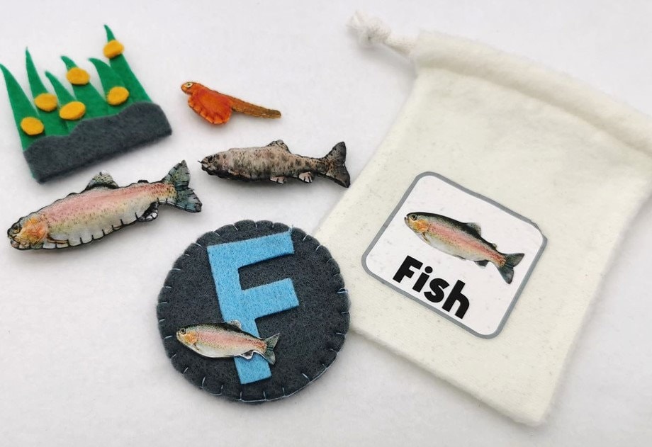 8 Sets 32x Printable Montessori Life Cycle Flash Cards Engaging Hands ...