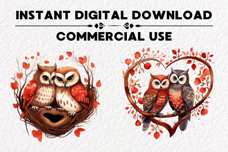 Valentine Day Owl Clipart Cute Owl Clipart, Valentine Ephemera, Owl ...