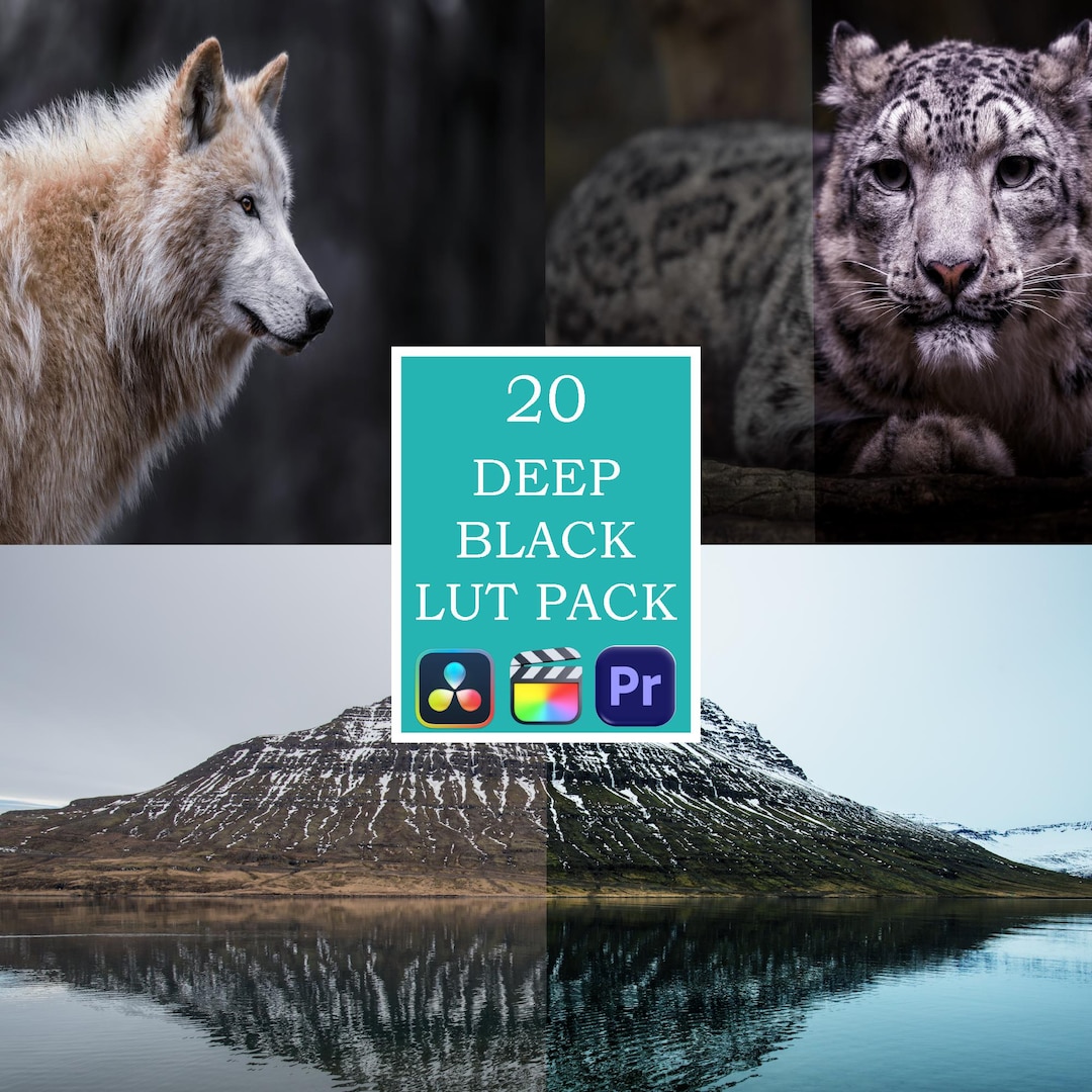 20 Deep Black Lut Pack | Color Grading | Video Filter | Premiere Pro ...