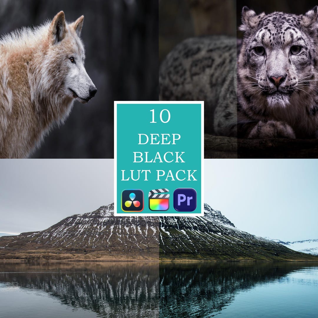 10 Deep Black Lut Pack | Color Grading | Video Filter | Premiere Pro ...