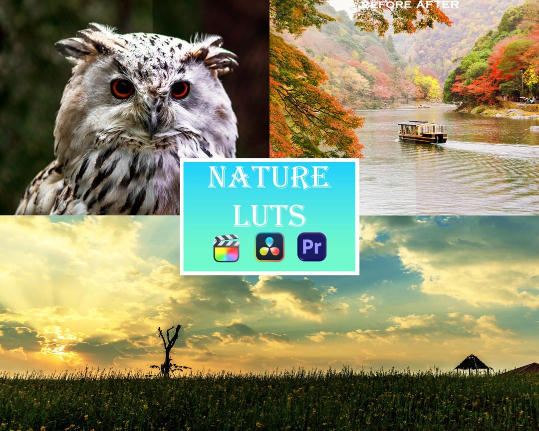 30 Nature Cinematic Luts | Color Grading | Video Filter | Premiere Pro ...