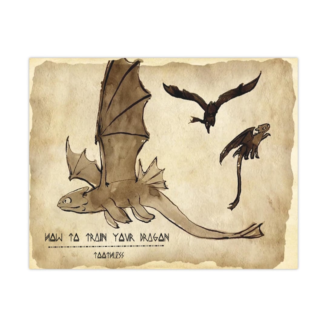 Toothless Sketch, How to Train Your Dragon, Poster, Wall Decoration ...