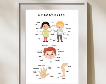 Body Parts Kids Poster | Parts of Bodies Learning for Children | Visual ...