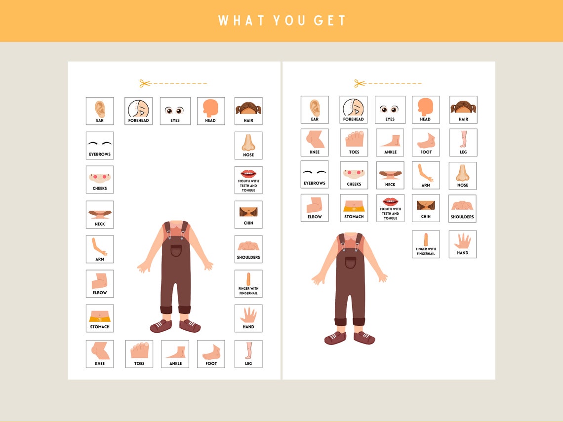 Body Parts Matching Activity Printable, Busy Book Pages, Toddler ...