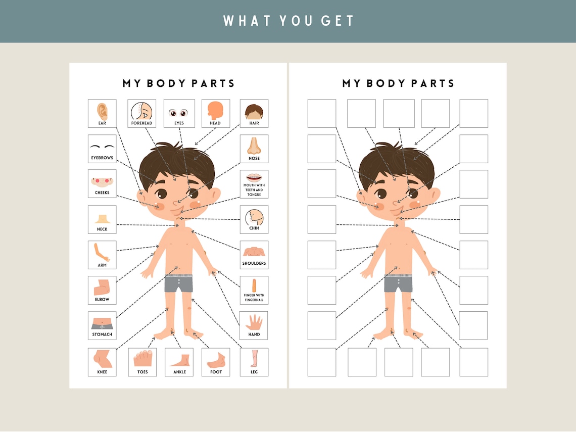 Body Parts Matching Activity Printable Busy Book Pages - Etsy