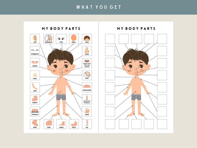 Body Parts Matching Activity Printable, Busy Book Pages, Toddler ...