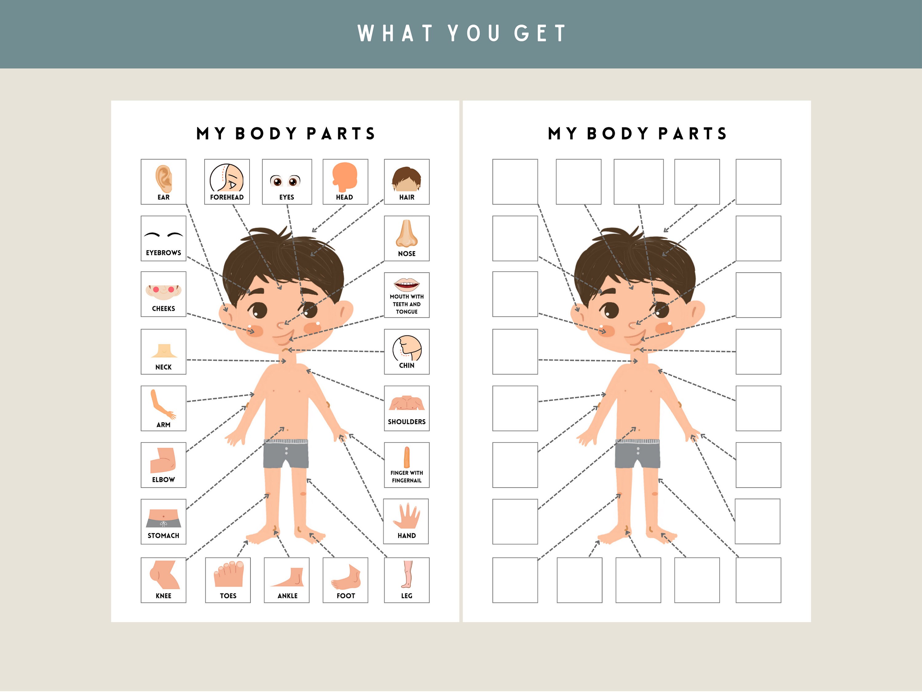 Body Parts Matching Activity Printable, Busy Book Pages, Toddler ...