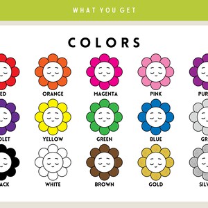 Color Matching Game, Flowers Matching, Montessori Activity, Colors ...