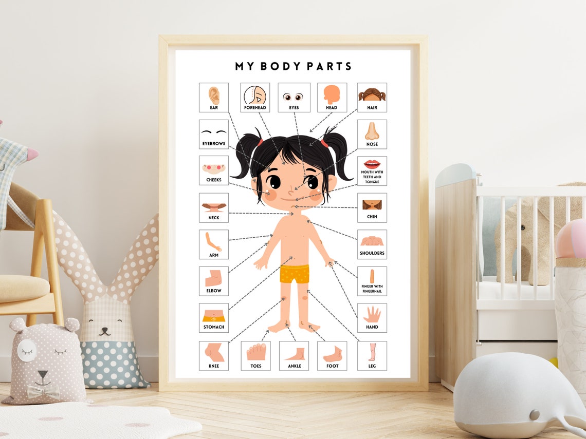 Body Parts Matching Activity Printable, Busy Book Pages, Toddler ...