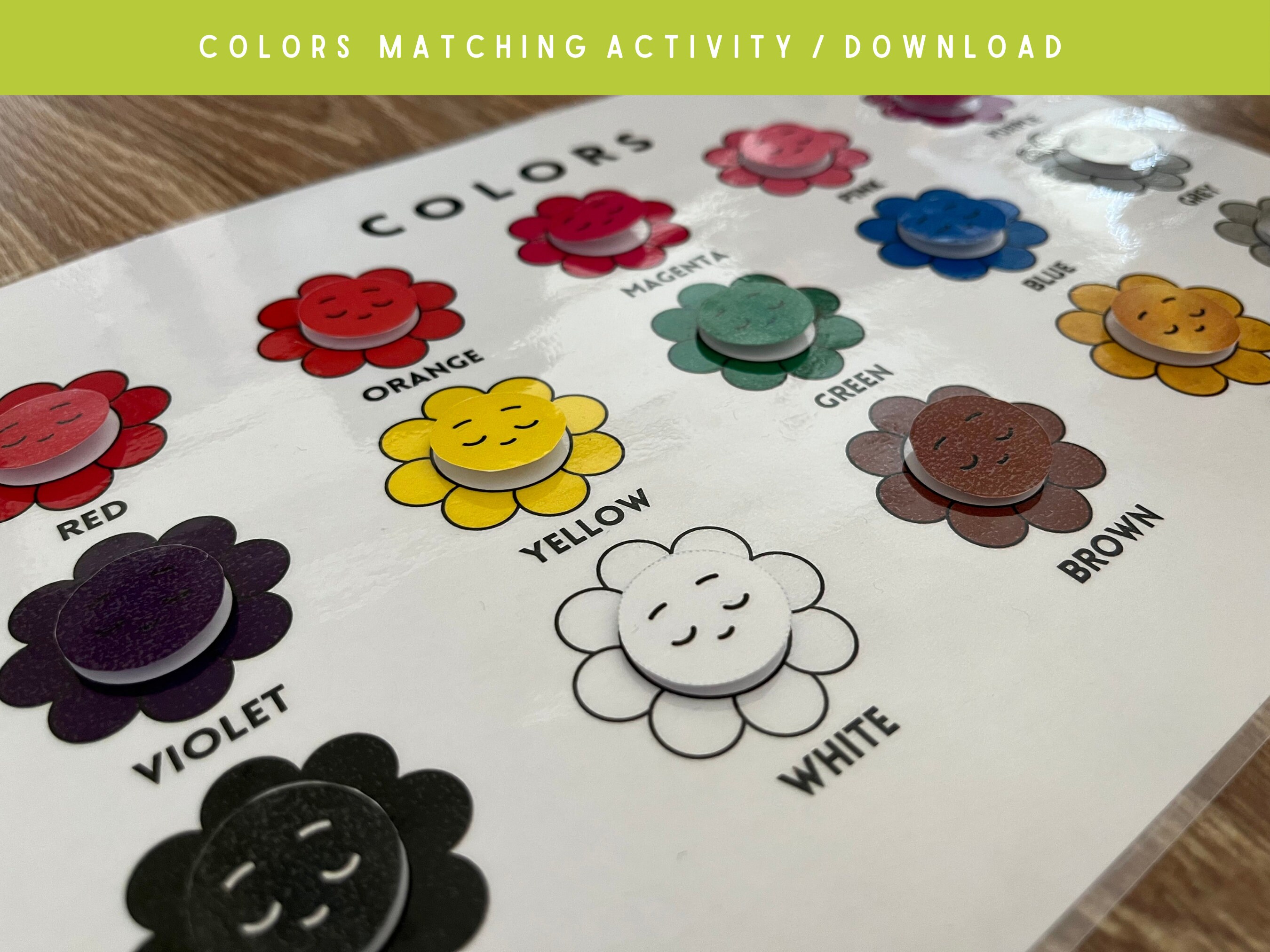 Color Matching Game, Flowers Matching, Montessori Activity, Colors ...