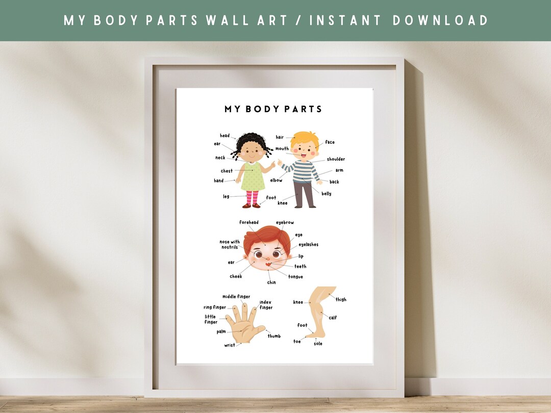 My Body Parts Poster, Toddler Printable, Toddler Wall Art, Body Parts ...