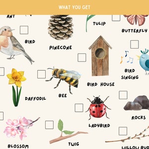 Spring Nature Walk, Spring Scavenger Hunt, Nature Scavenger Hunt ...