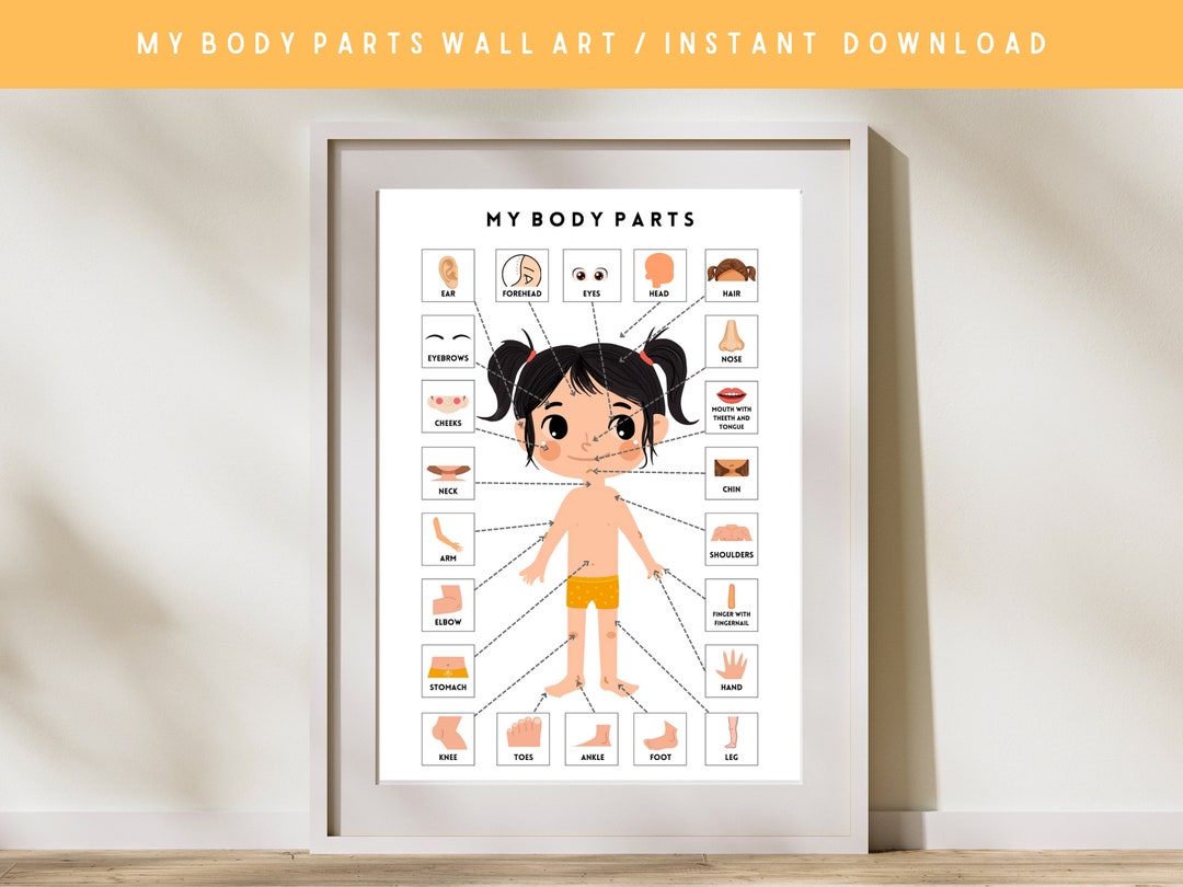 Body Parts Printable Wall Art Body Parts Poster - Etsy