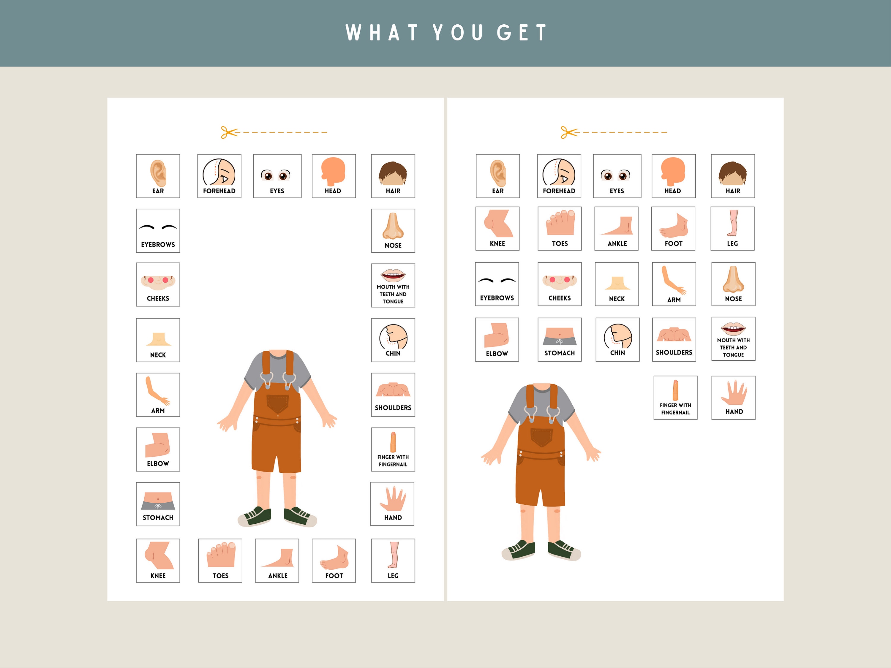 Body Parts Matching Activity Printable, Busy Book Pages, Toddler ...