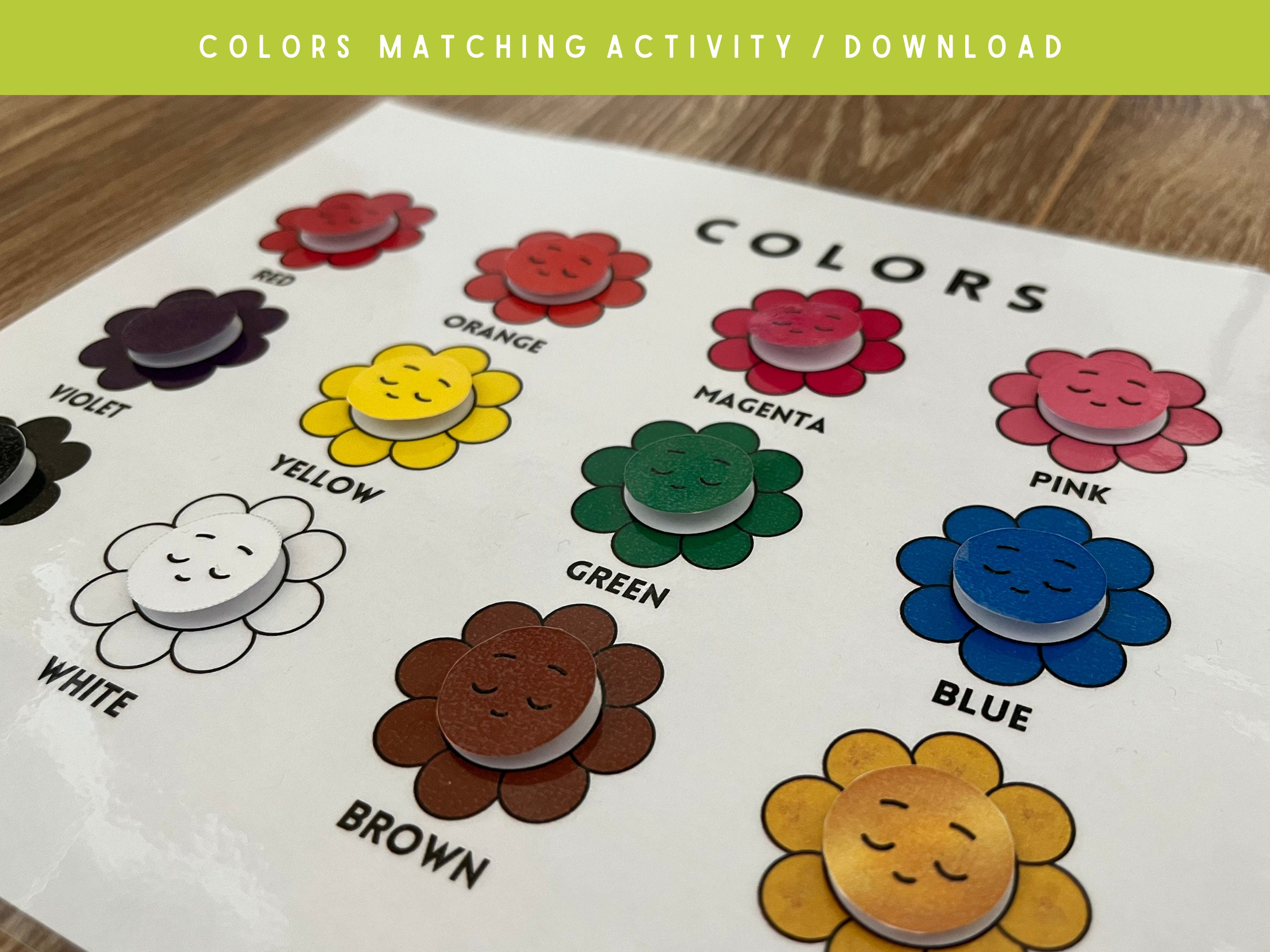 Color Matching Game, Flowers Matching, Montessori Activity, Colors ...