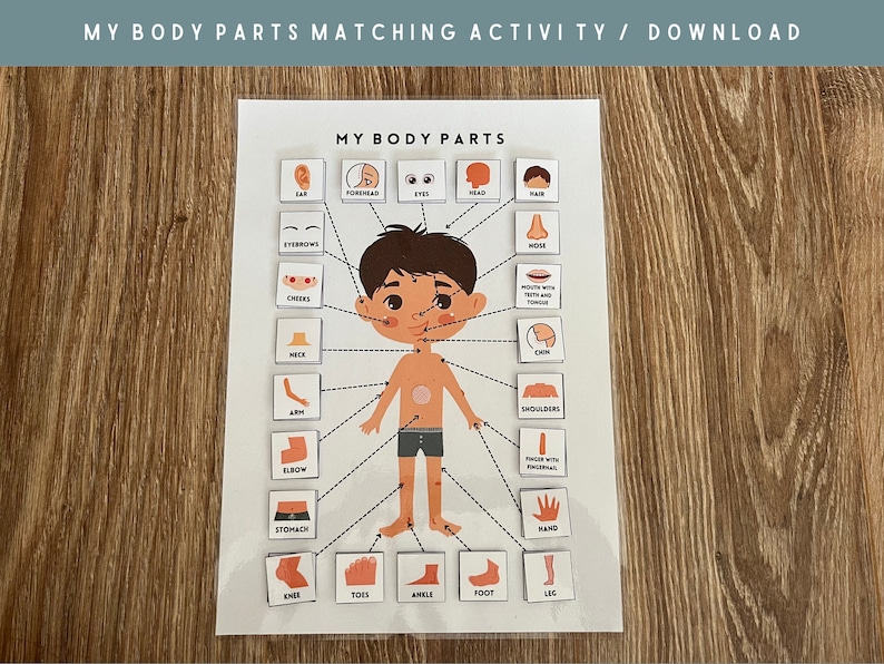 Body Parts Matching Activity Printable, Busy Book Pages, Toddler ...