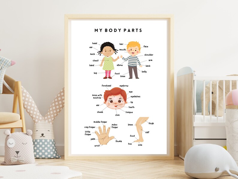 My Body Parts Poster, Toddler Printable, Toddler Wall Art, Body Parts ...