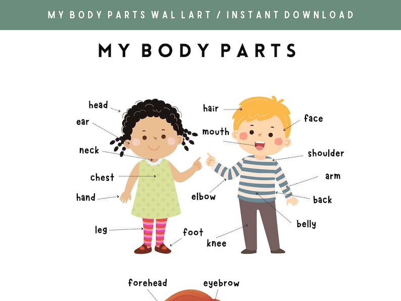My Body Parts Poster, Toddler Printable, Toddler Wall Art, Body Parts ...