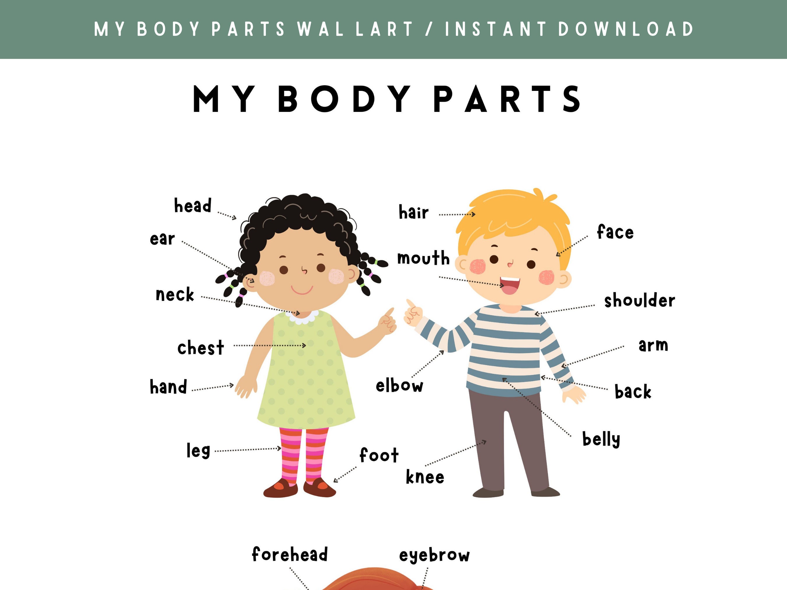 My Body Parts Poster, Toddler Printable, Toddler Wall Art, Body Parts ...