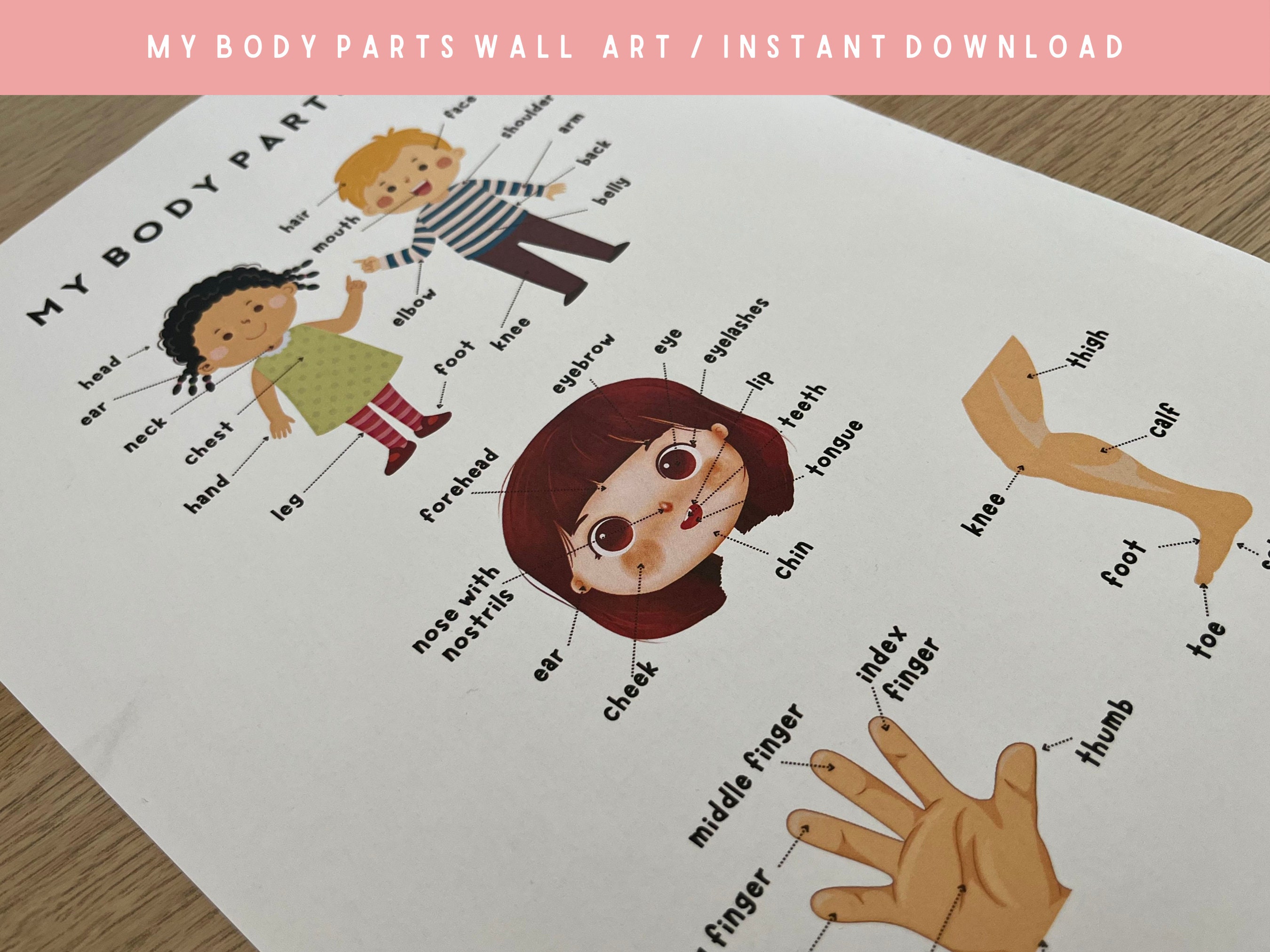 My Body Parts Poster, Toddler Printable, Toddler Wall Art, Body Parts ...