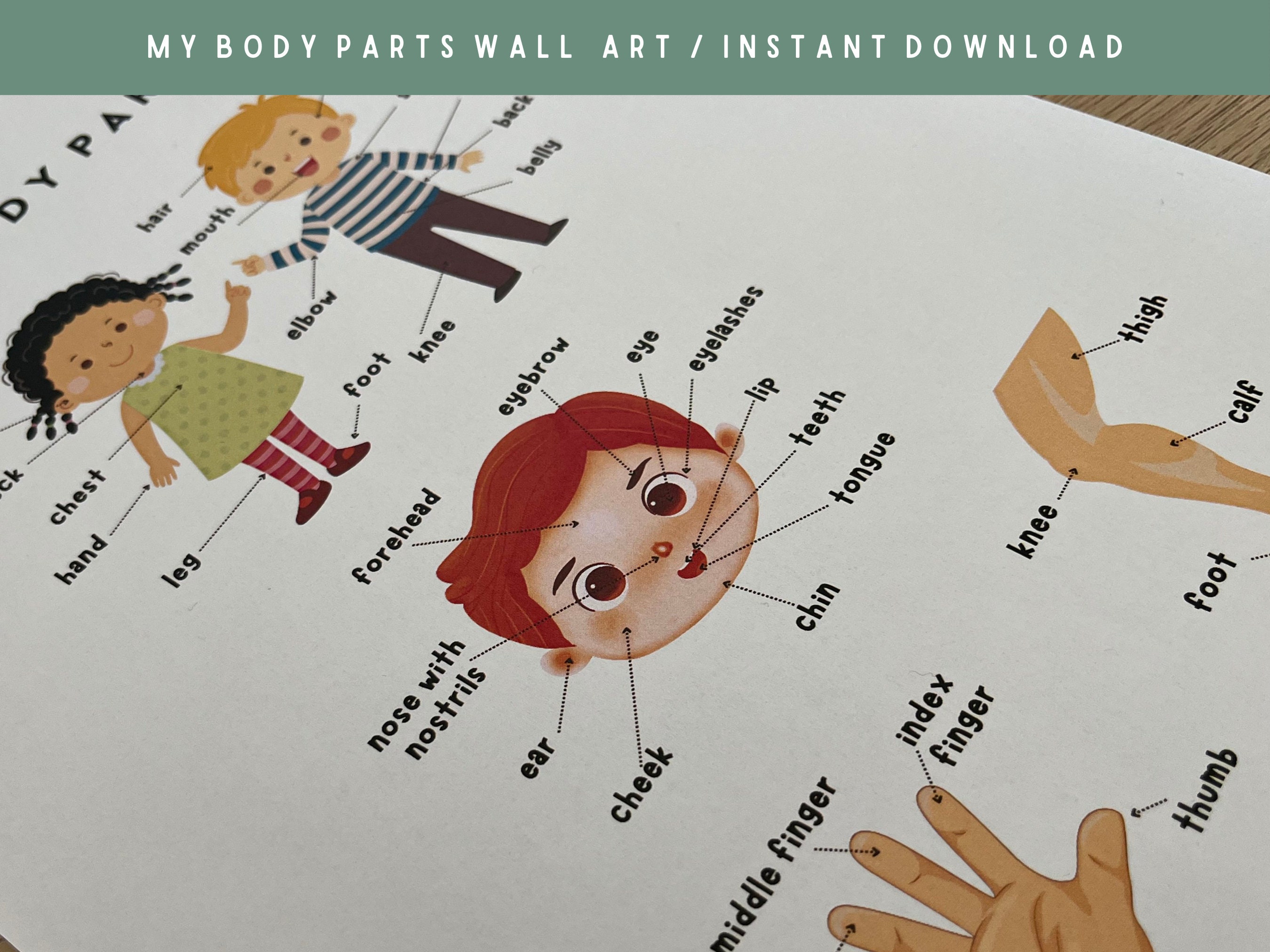 My Body Parts Poster, Toddler Printable, Toddler Wall Art, Body Parts ...