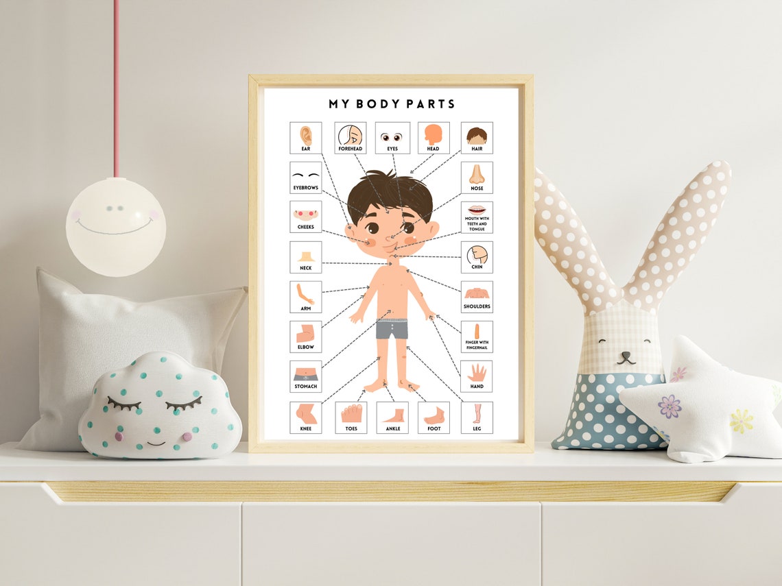 Body Parts Matching Activity Printable, Busy Book Pages, Toddler ...