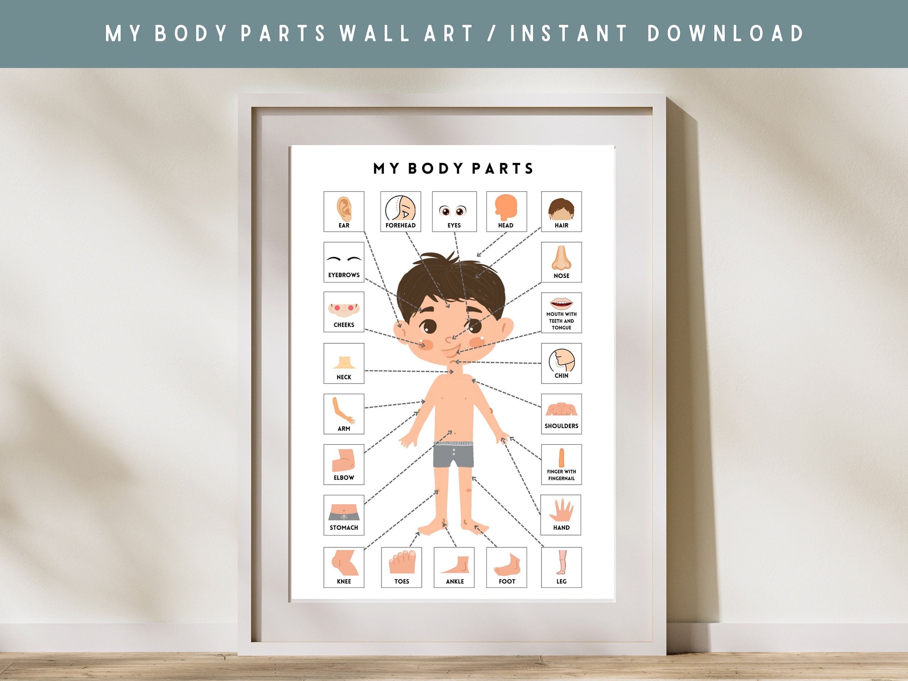 Body Parts, Printable Wall Art, Body Parts Poster, Homeschooling ...