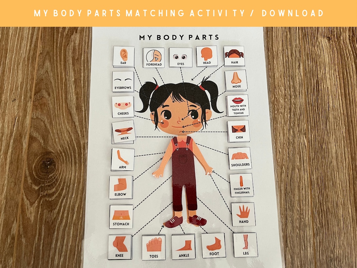 Body Parts Matching Activity Printable, Busy Book Pages, Toddler ...