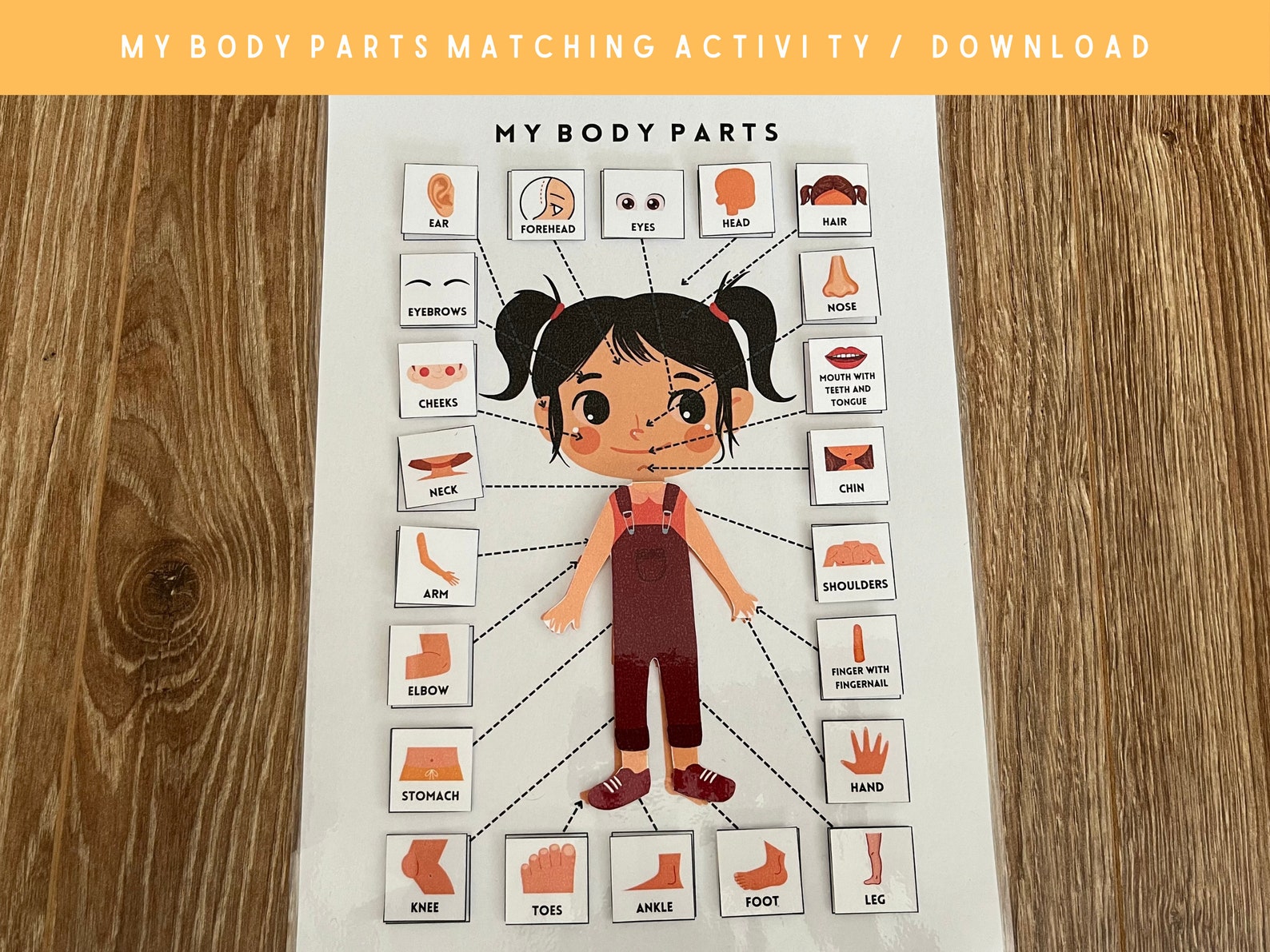 Body Parts Matching Activity Printable, Busy Book Pages, Toddler ...