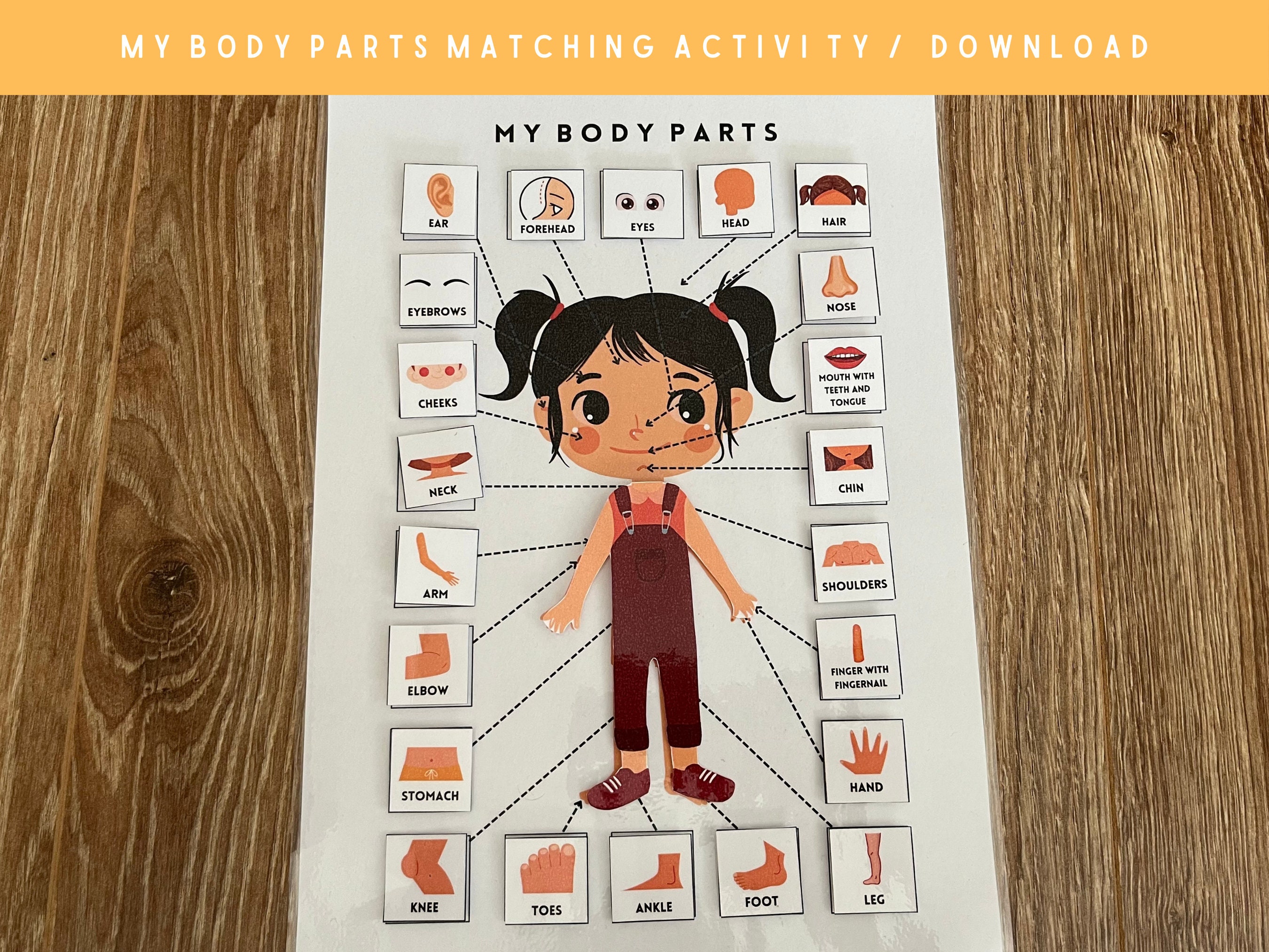 Body Parts Matching Activity Printable, Busy Book Pages, Toddler ...