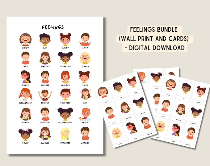 Feelings Anchor Chart - Etsy Canada