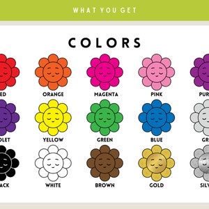 Color Matching Game, Flowers Matching, Montessori Activity, Colors ...