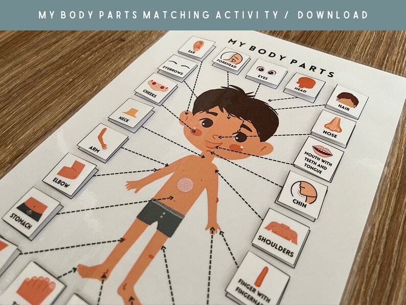Body Parts Matching Activity Printable, Busy Book Pages, Toddler ...