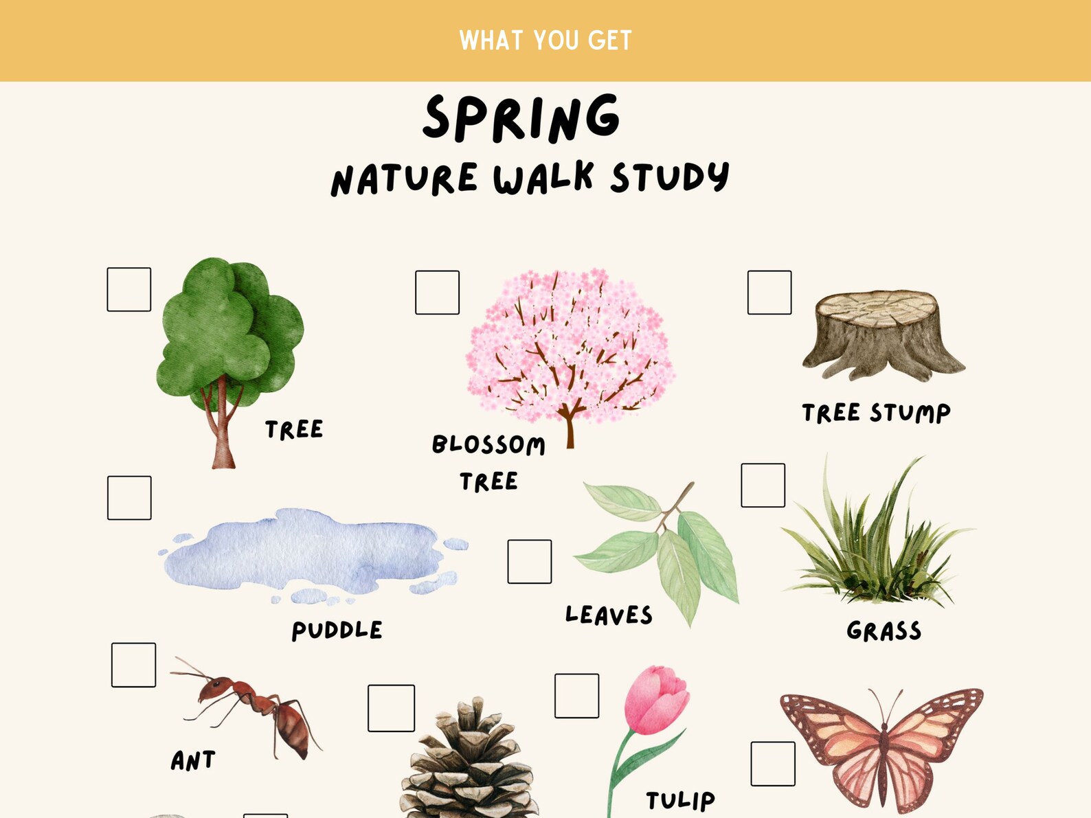 Spring Nature Walk, Spring Scavenger Hunt, Nature Scavenger Hunt ...