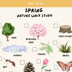 Spring Nature Walk, Spring Scavenger Hunt, Nature Scavenger Hunt ...