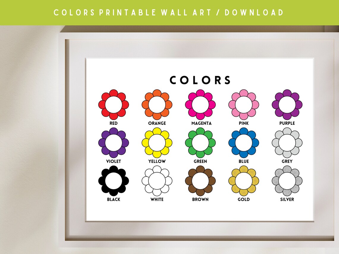 Colors Poster Colors With Flowers Montessori Poster Colors - Etsy