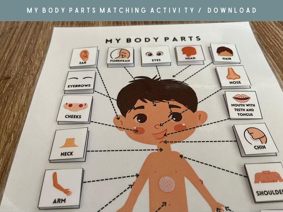 Body Parts Matching Activity Printable Busy Book Pages - Etsy