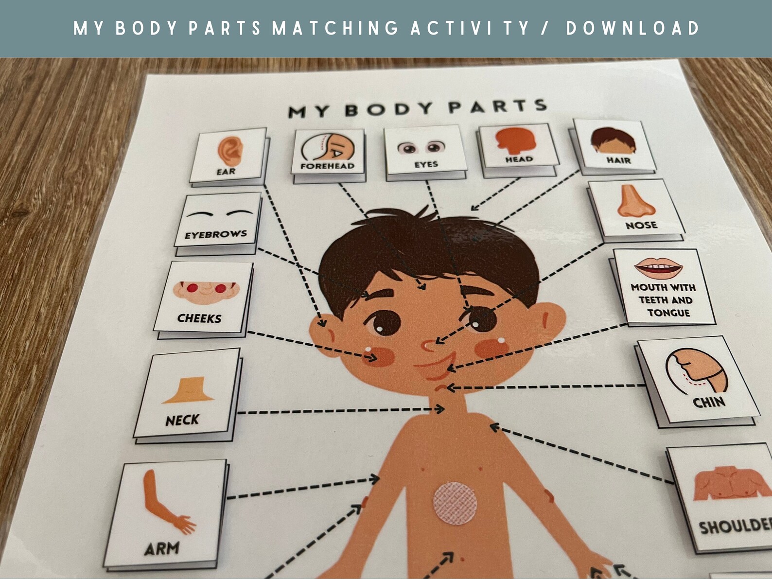 Body Parts Matching Activity Printable, Busy Book Pages, Toddler ...