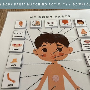 Body Parts Matching Activity Printable, Busy Book Pages, Toddler ...