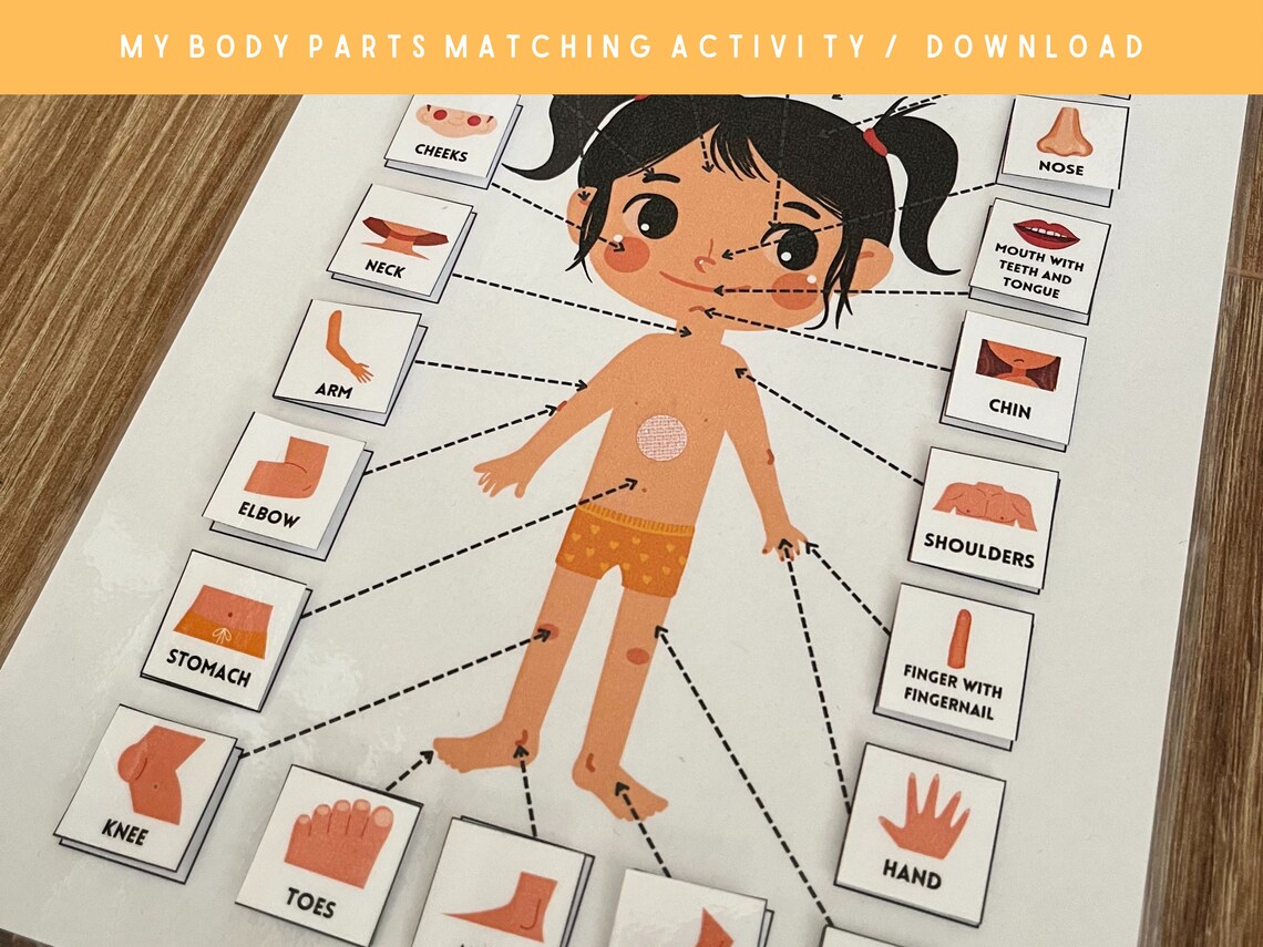 Body Parts Matching Activity Printable, Busy Book Pages, Toddler ...