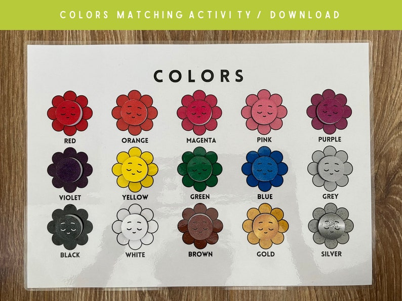 Color Matching Game, Flowers Matching, Montessori Activity, Colors ...