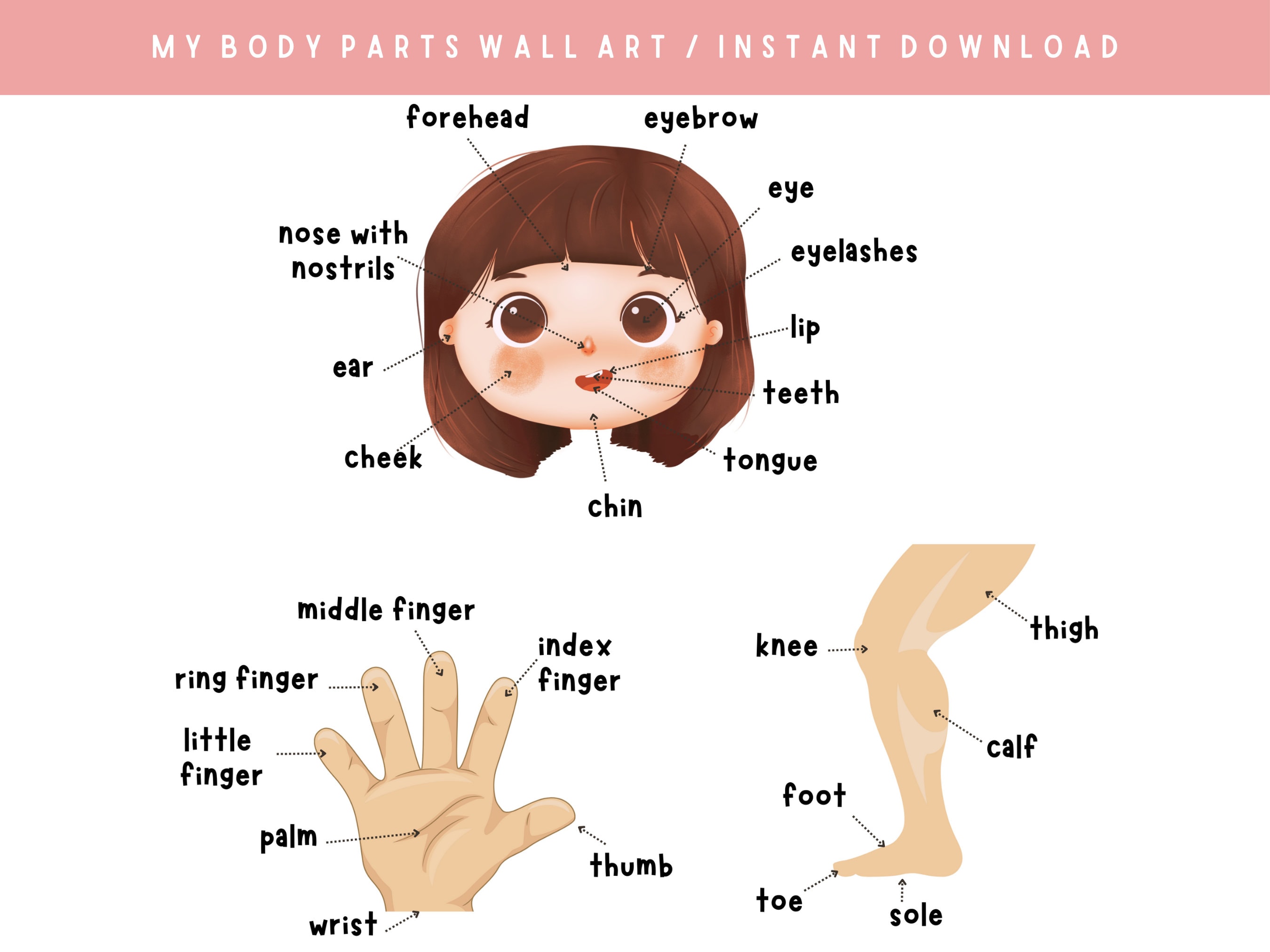 My Body Parts Poster, Toddler Printable, Toddler Wall Art, Body Parts ...