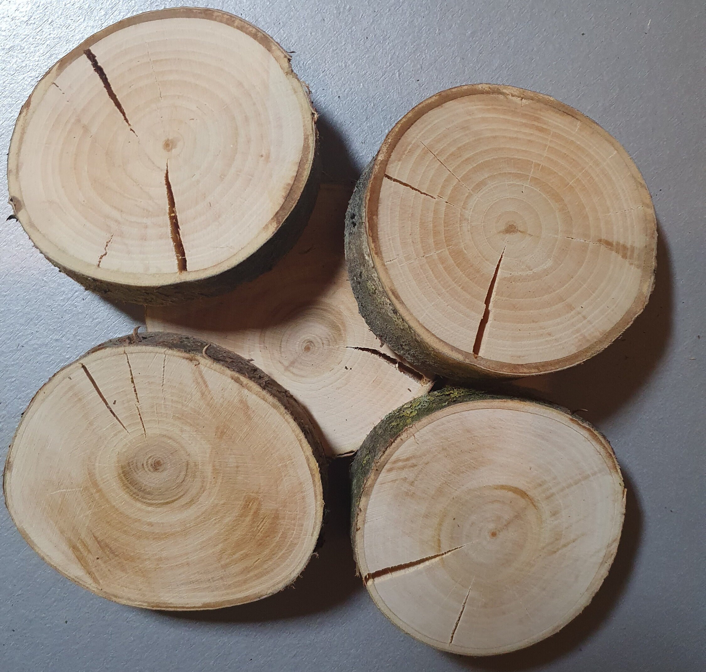 5-50 Cm Tree Discs / Wooden Discs for Weddings Christenings - Etsy